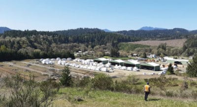 Patrick Lumber: A Generational Company with a Storied History and a ...