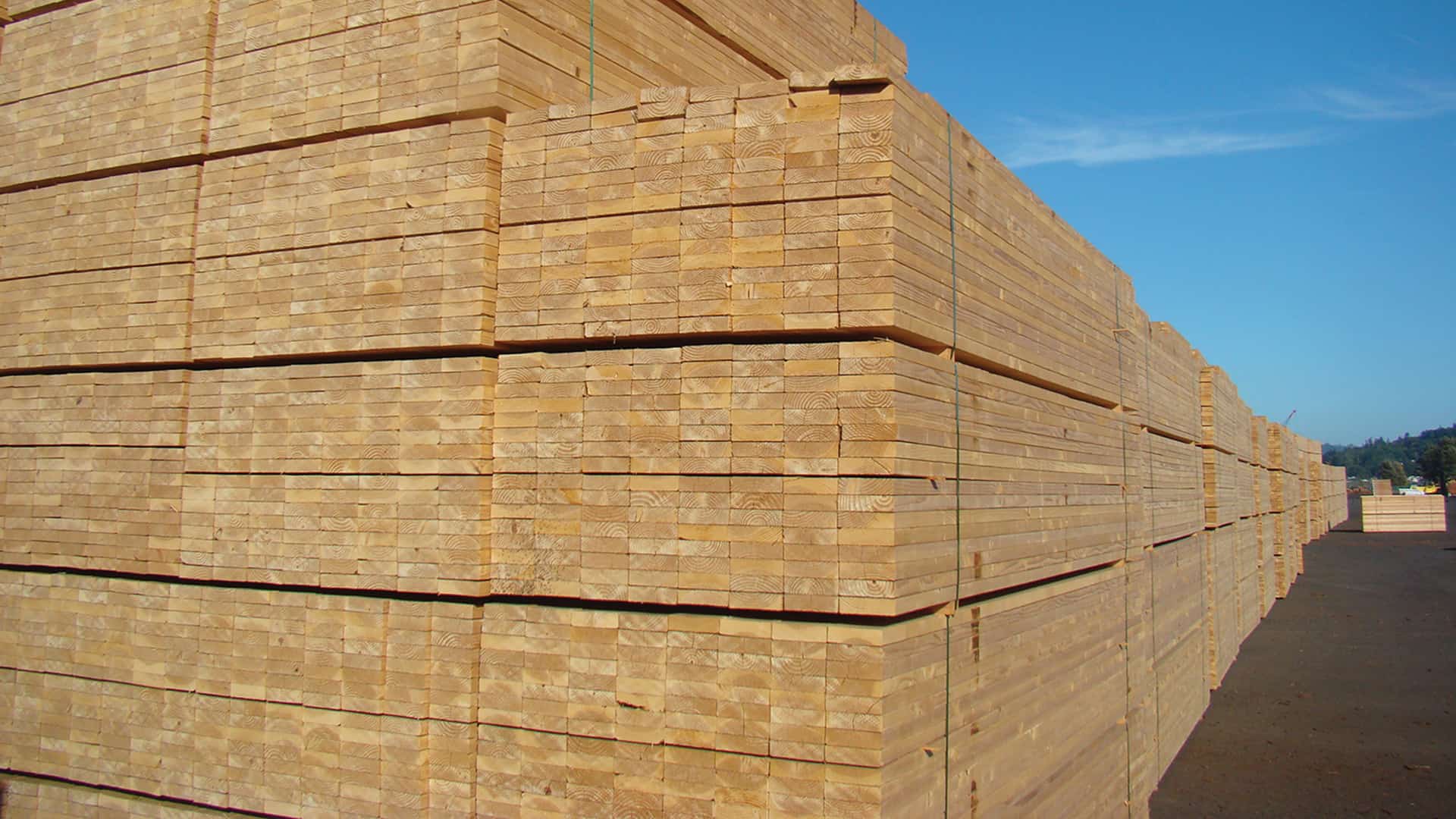 Enhancing the Performance of Wood with Protection from Mold | Miller ...