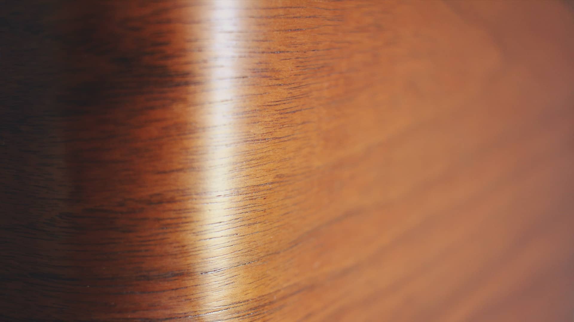 AHEC Releases New American Hardwood Species Guide | Miller Wood Trade ...