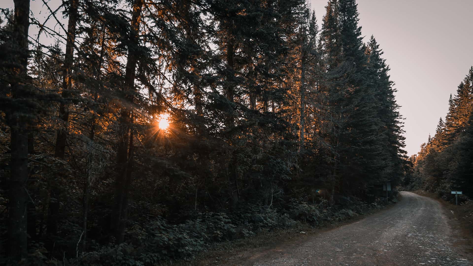 J.D. Irving Begins $35 Million Expansion of Doaktown Sawmill | Miller ...