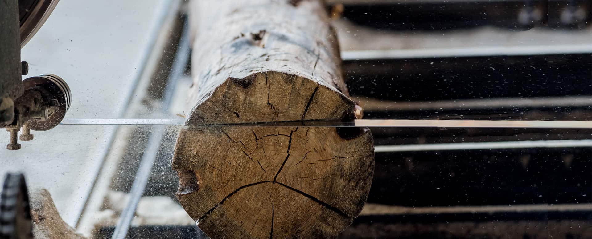 Who’s Who in Hardwoods | Miller Wood Trade Publications