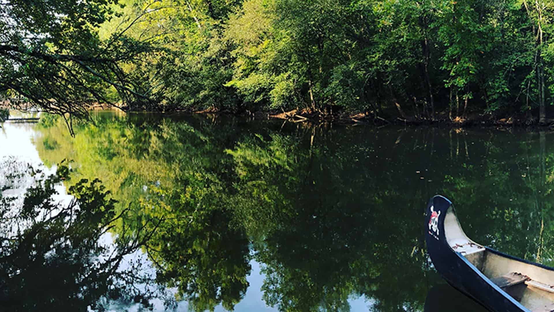 The Beasley Group – Three Generations Deep | Miller Wood Trade Publications