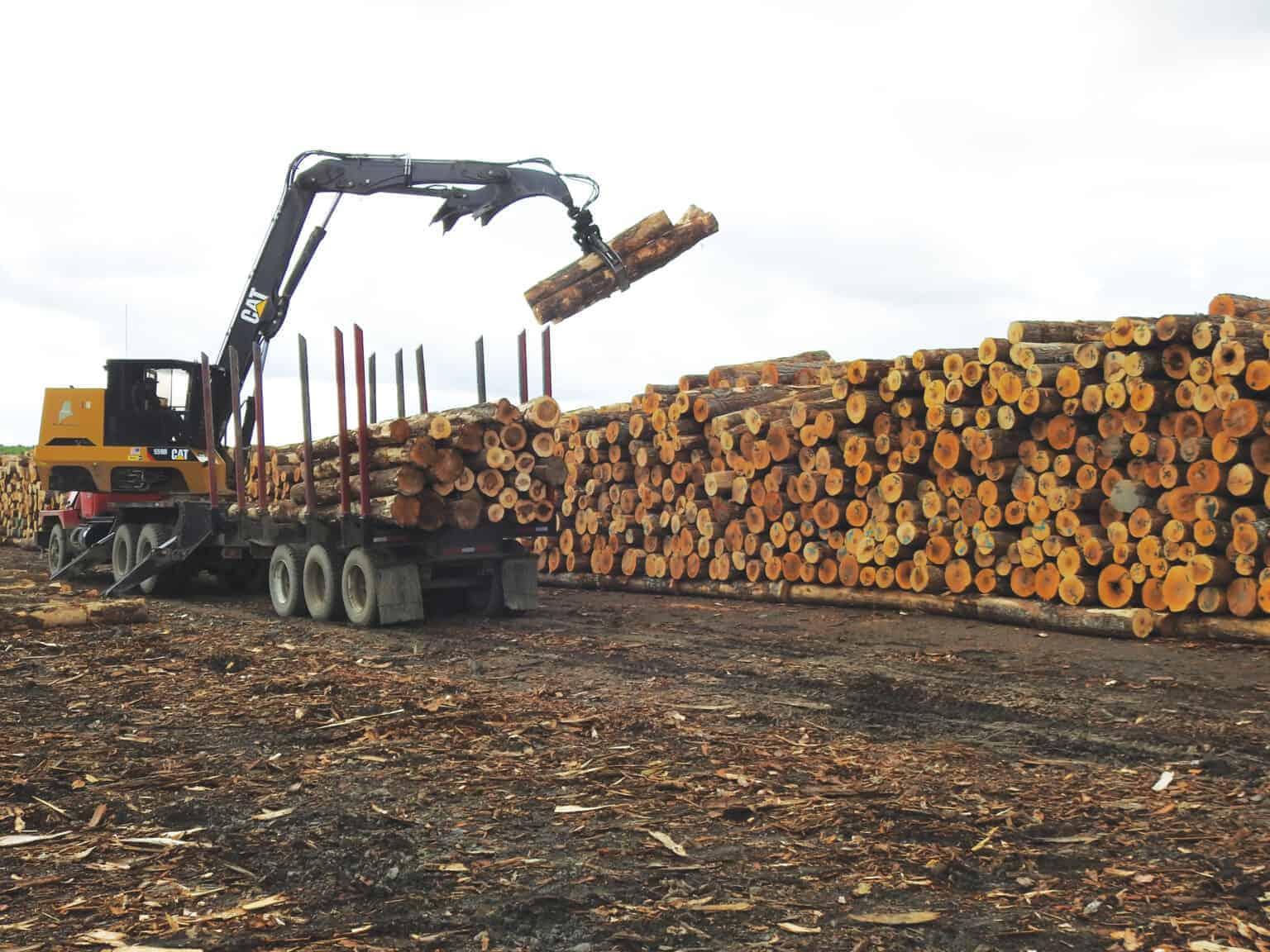 Maine Woods: Doing What’s Right For The Forest | Miller Wood Trade ...