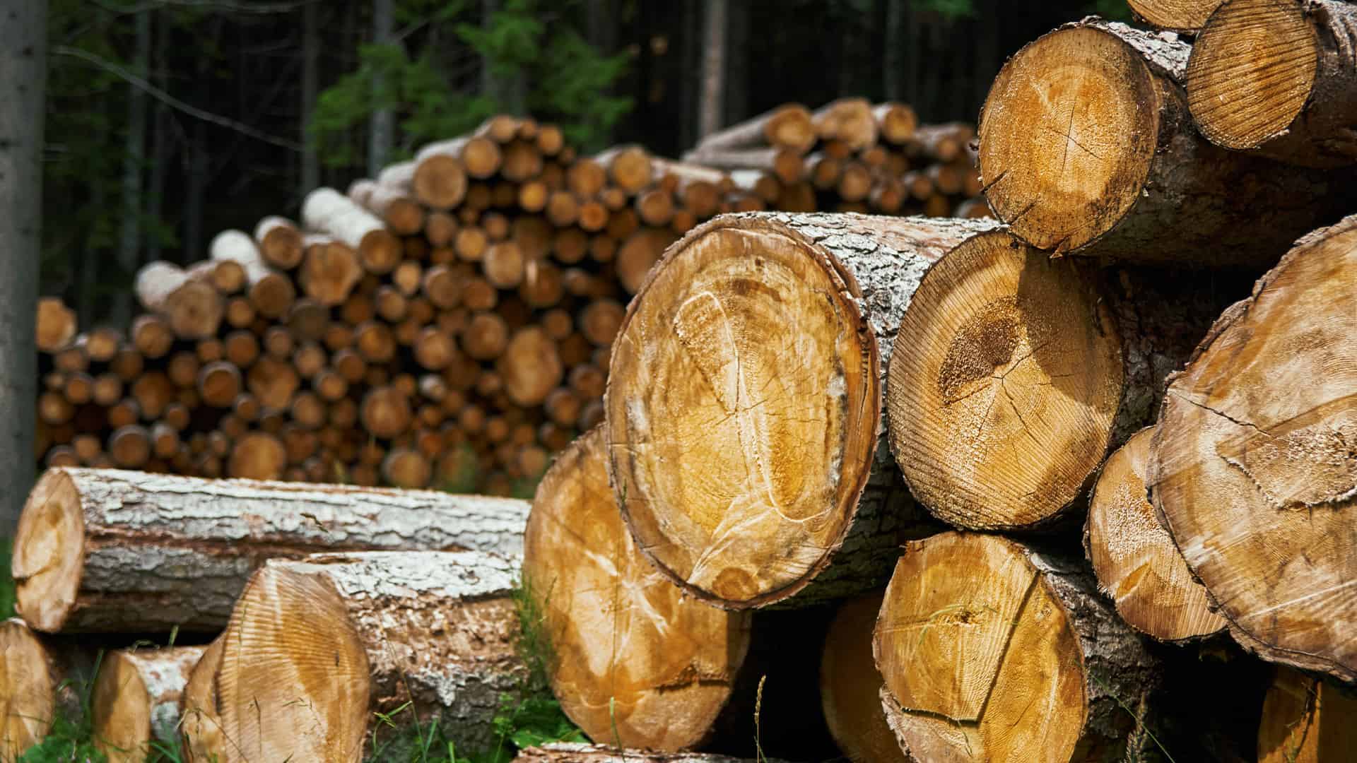 2022 Was Good For Some, Not For Others; ’23 Portends Challenges And Hope | Miller Wood Trade ...