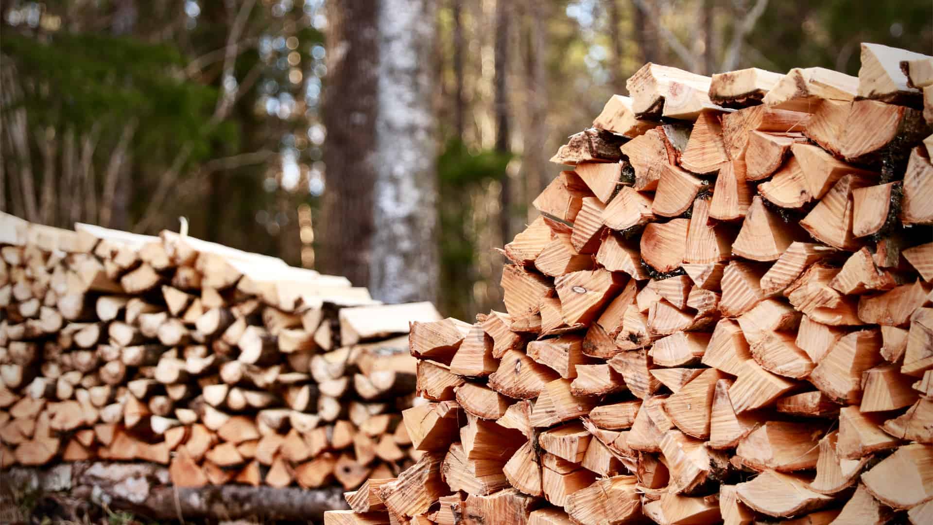 Save the Date for NAWLA Regional Meetings | Miller Wood Trade Publications