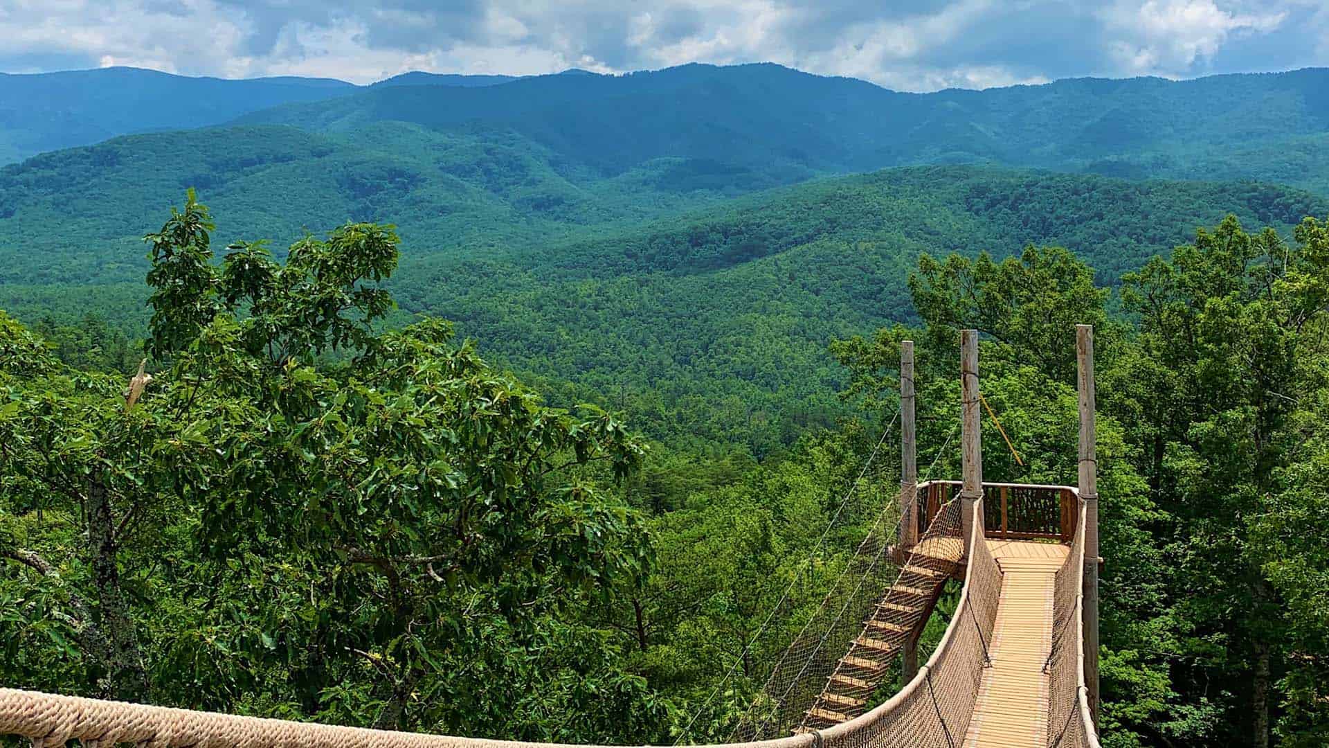 U.S. Hardwood Exports To India Reach All-Time High | Miller Wood Trade ...