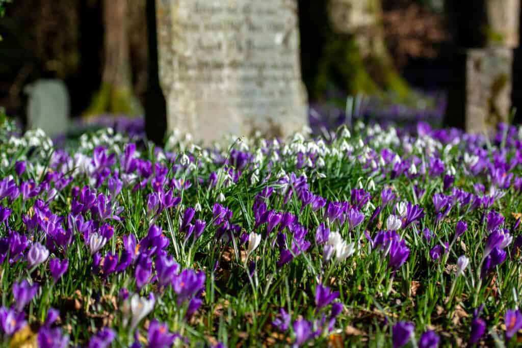 In Memoriam | Miller Wood Trade Publications