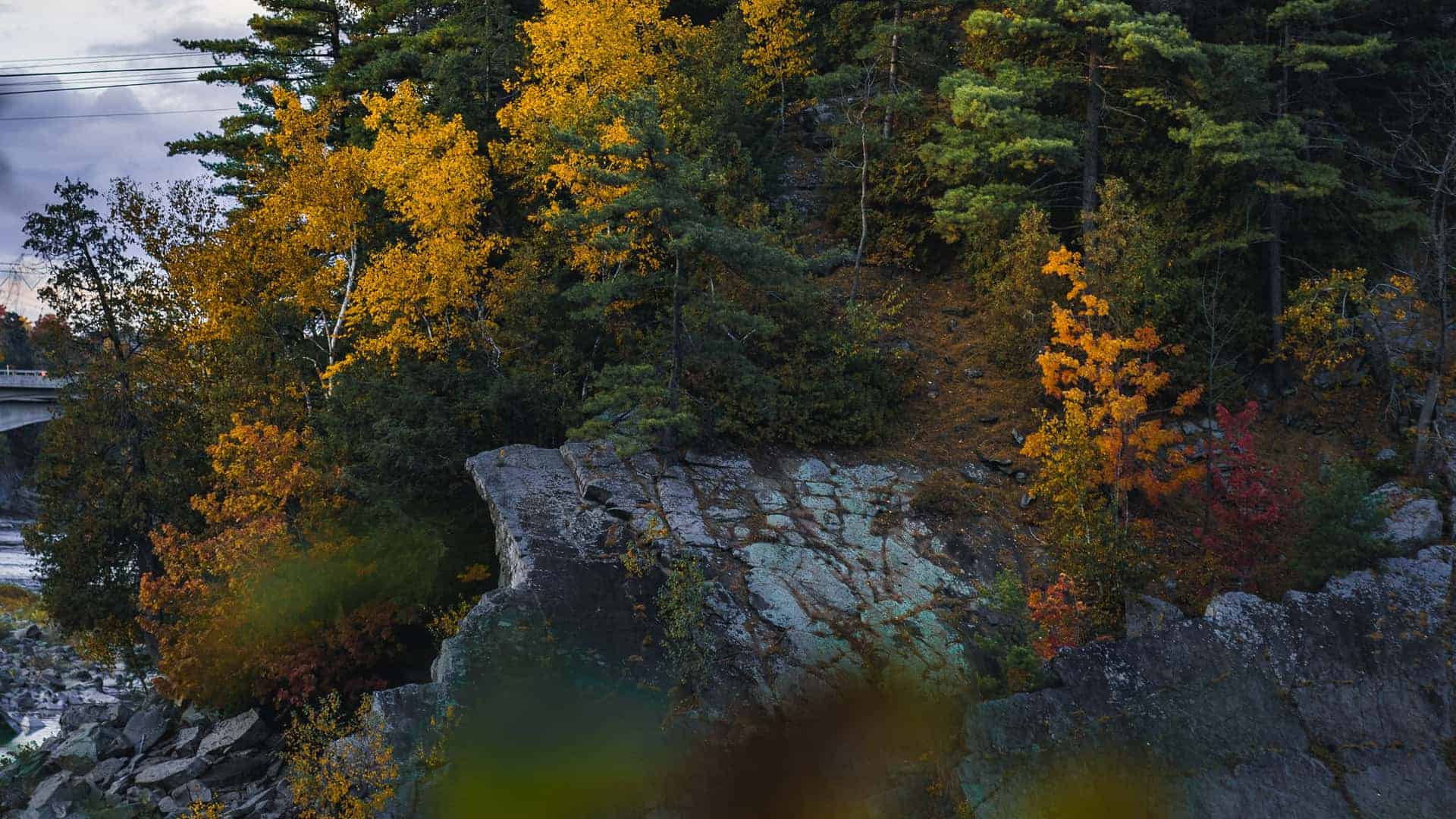 Quebec Business Trends - October 2023 | Miller Wood Trade Publications