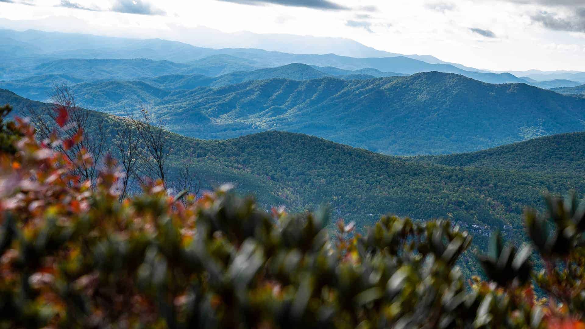 Southeast Business Trends - October 2023 | Miller Wood Trade Publications