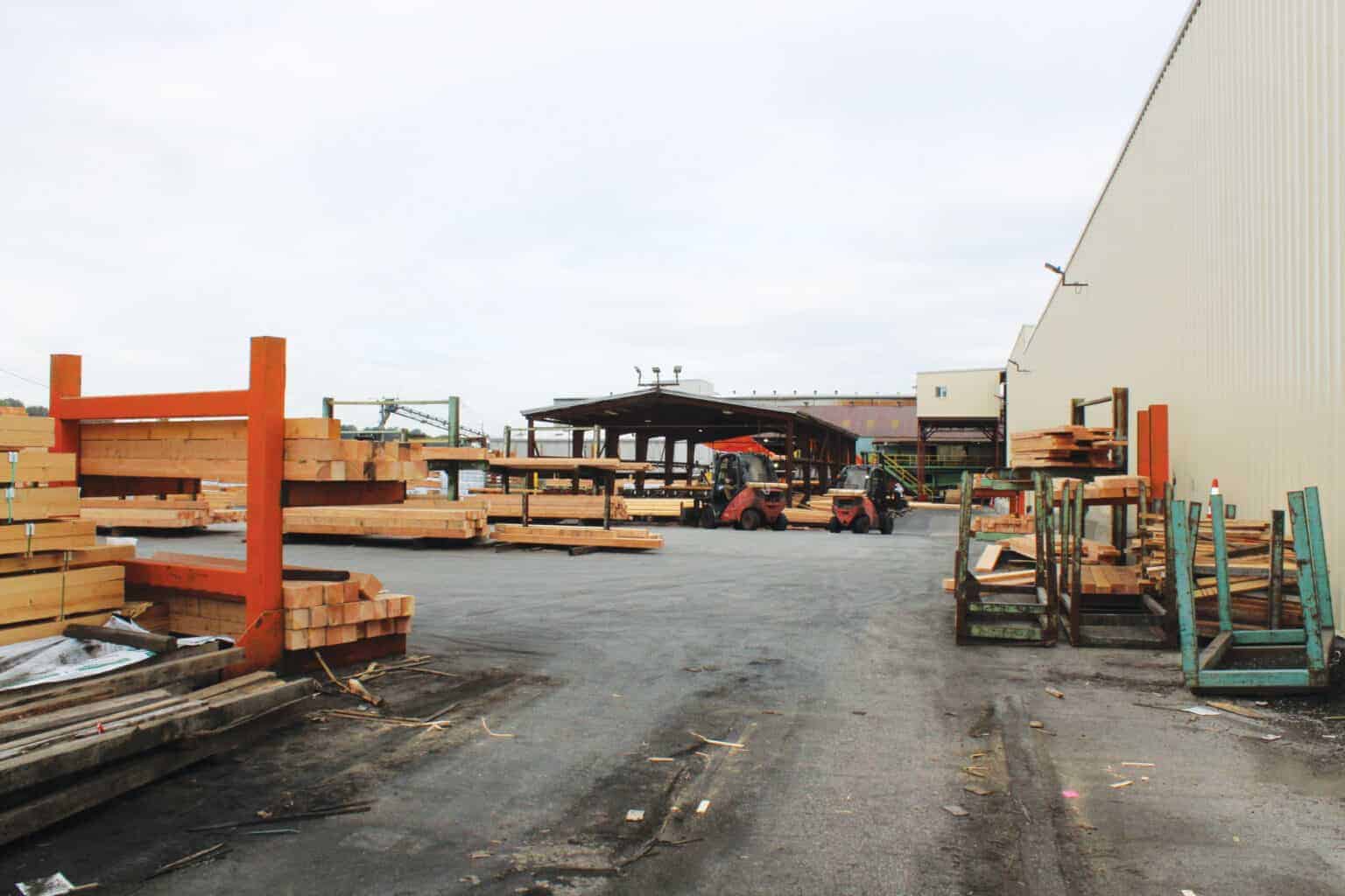 Delta Forestry Group Continues To Thrive In A Changing Landscape ...