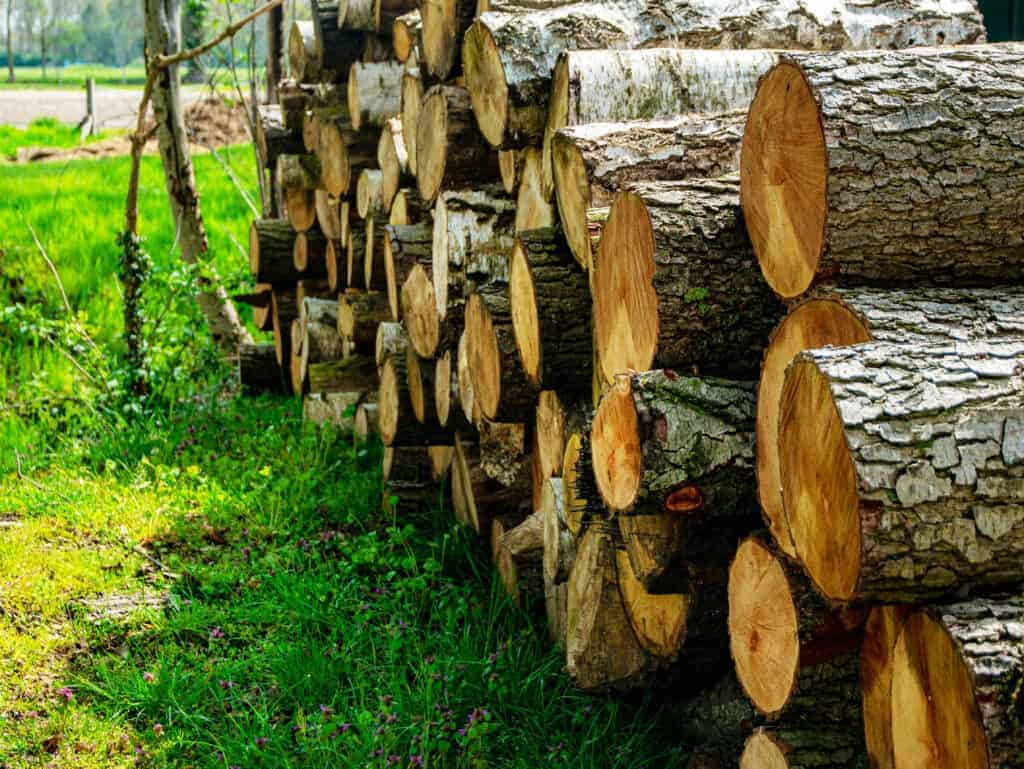 AWC Releases New Standards Used to Design & Build U.S. Wood Structures ...