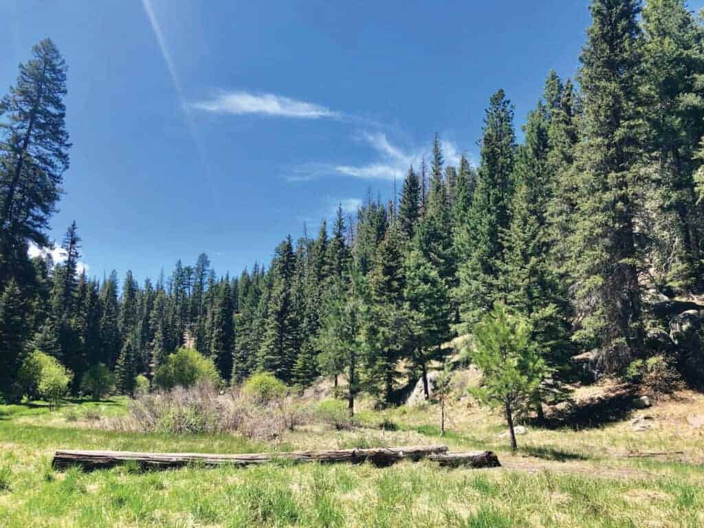 Where Is SFPA Promoting Southern Pine In 2024? | Miller Wood Trade ...