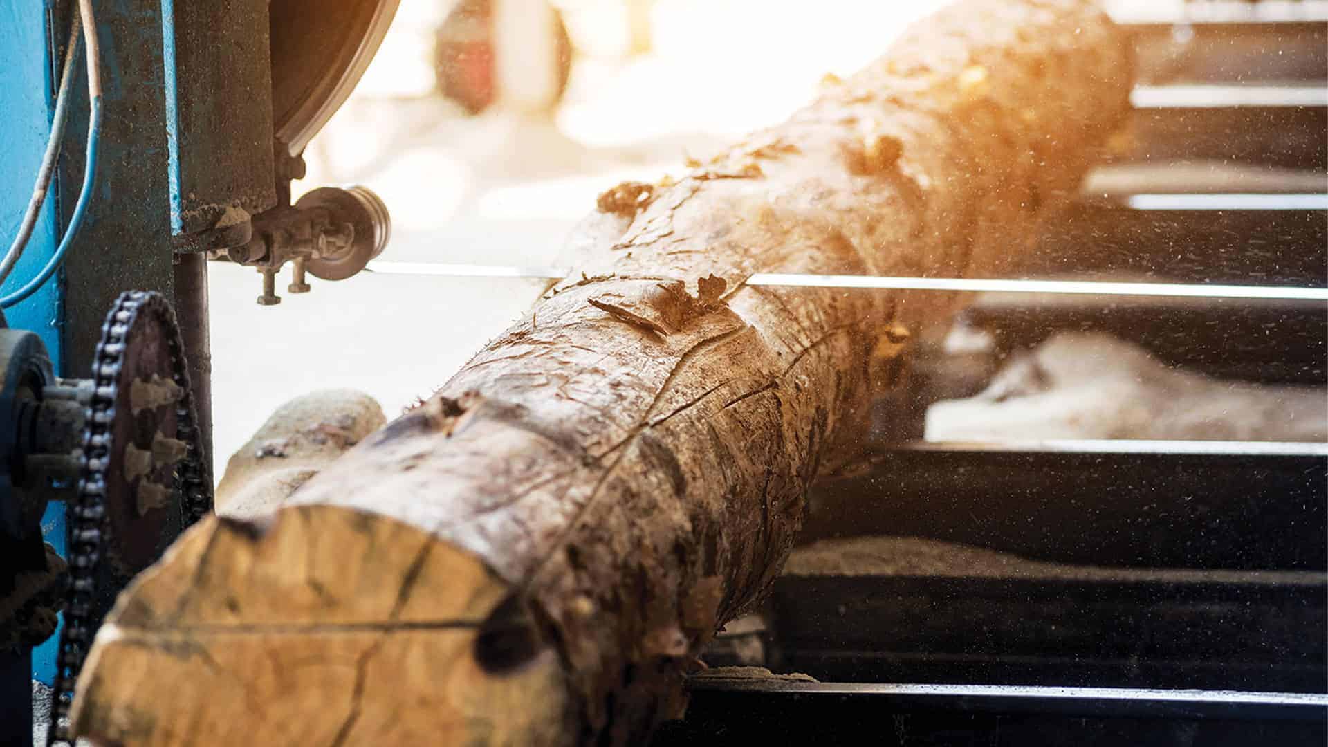 Cross-Laminated Timber: A Guide to Selection and Specification | Miller ...