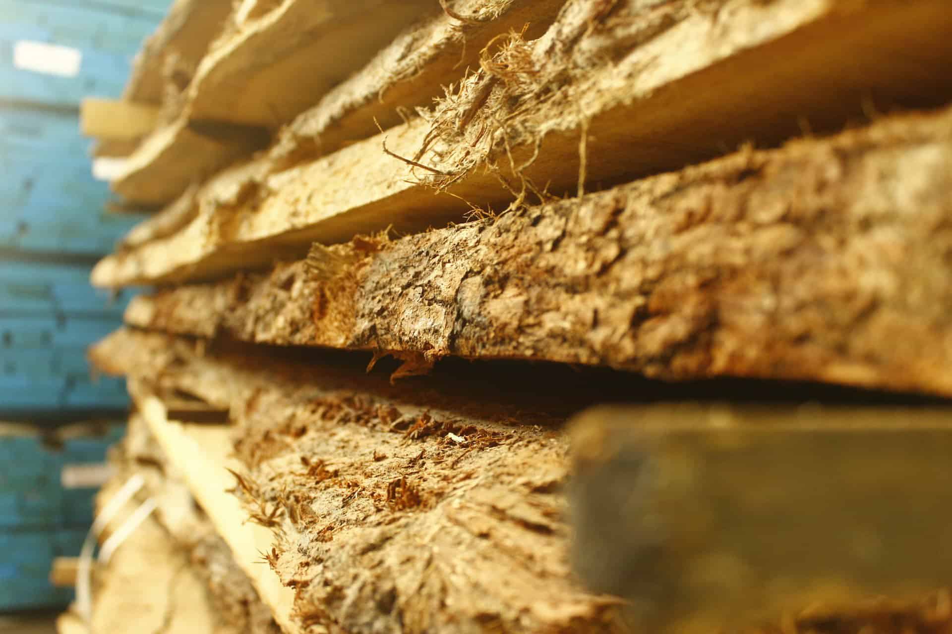 Who's Who in Hardwood Purchasing - July 2024 | Miller Wood Trade Publications