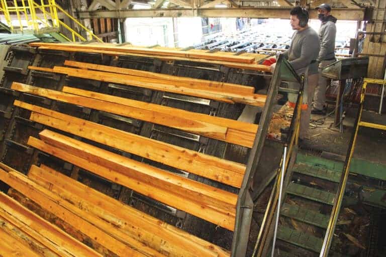 Family Owned Partap Forest Products Introduces Primary Sawmill | Miller ...