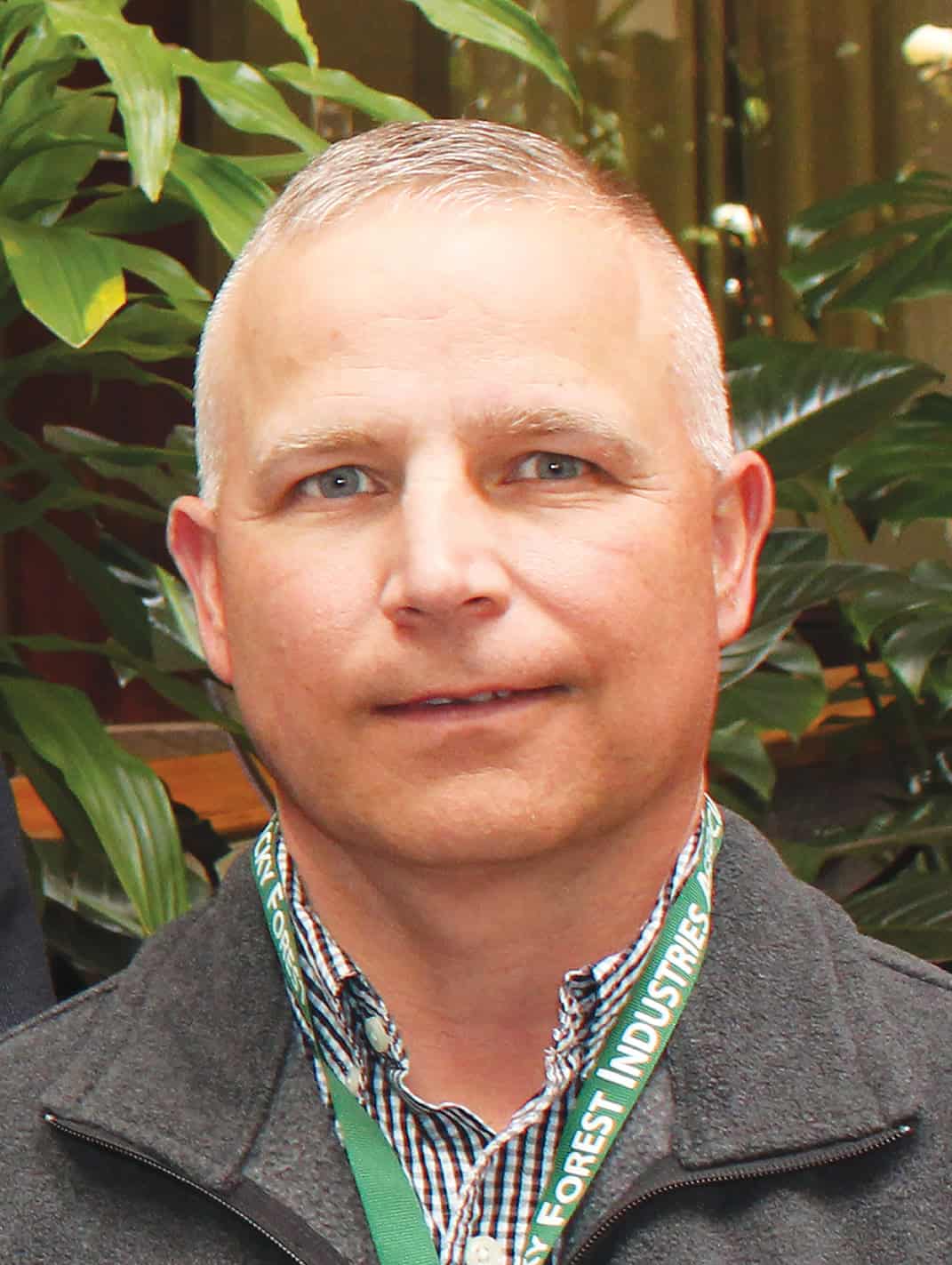 Lumber Forecasts For 2025 | Miller Wood Trade Publications