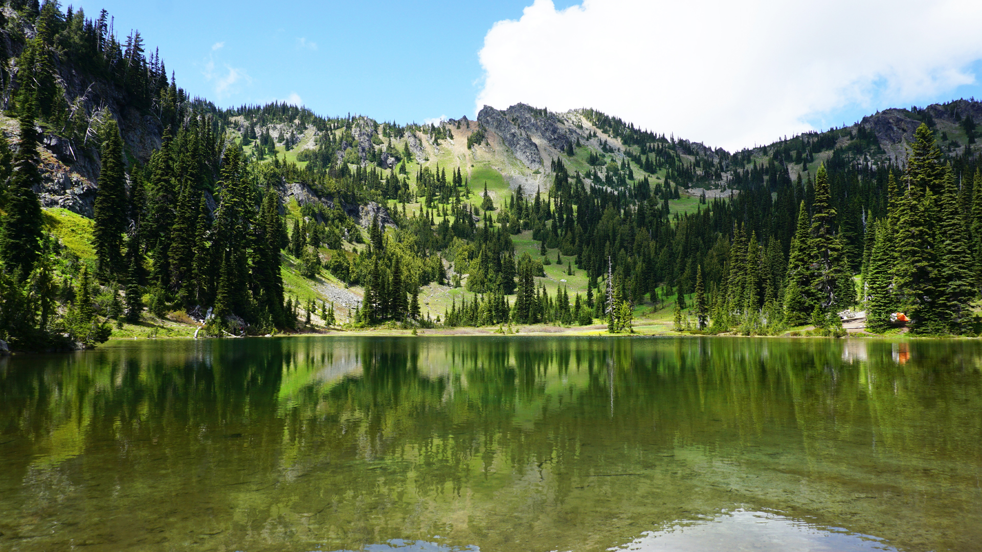 Lumber Forecasts For 2025 | Miller Wood Trade Publications