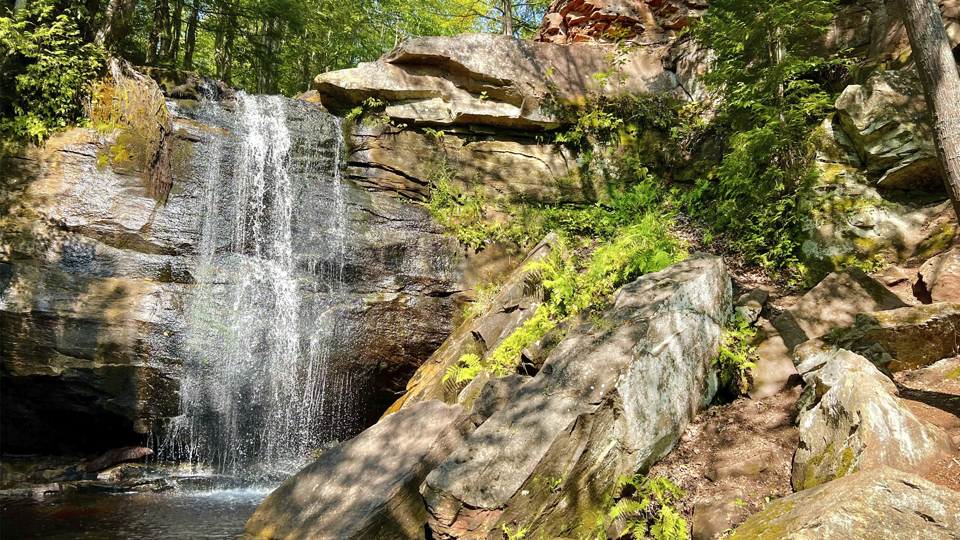 Midwest Business Trends | Miller Wood Trade Publications