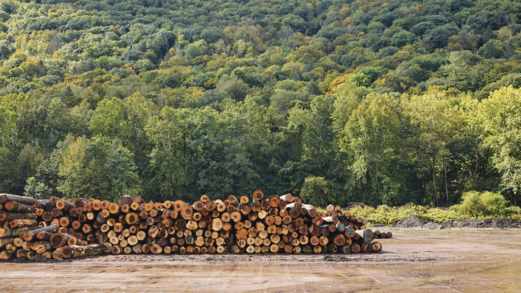 Doman Building Materials acquires Hixson Lumber Sales | Miller Wood ...