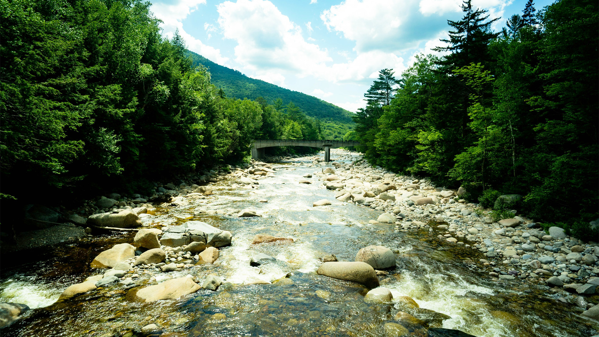U.S. / Canada Hardwood Lumber Trade | Miller Wood Trade Publications
