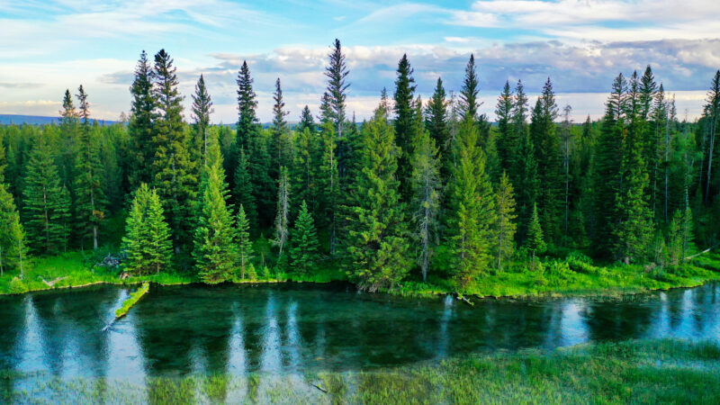 Doman Building Materials acquires Hixson Lumber Sales | Miller Wood ...